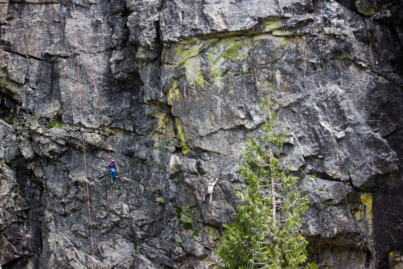 Conscious Course | Steep Stone Cookout
